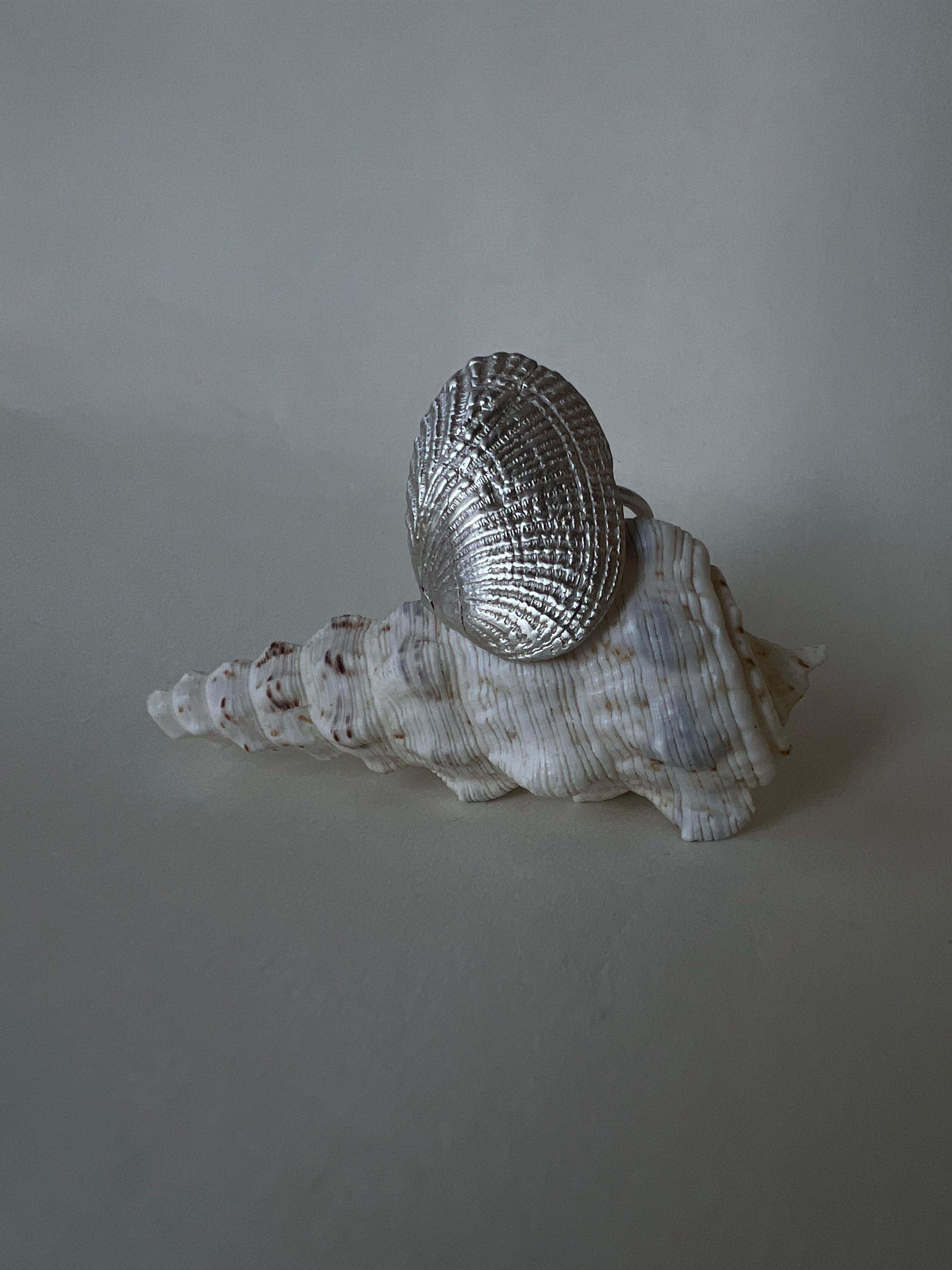 Shell wing – Makmel